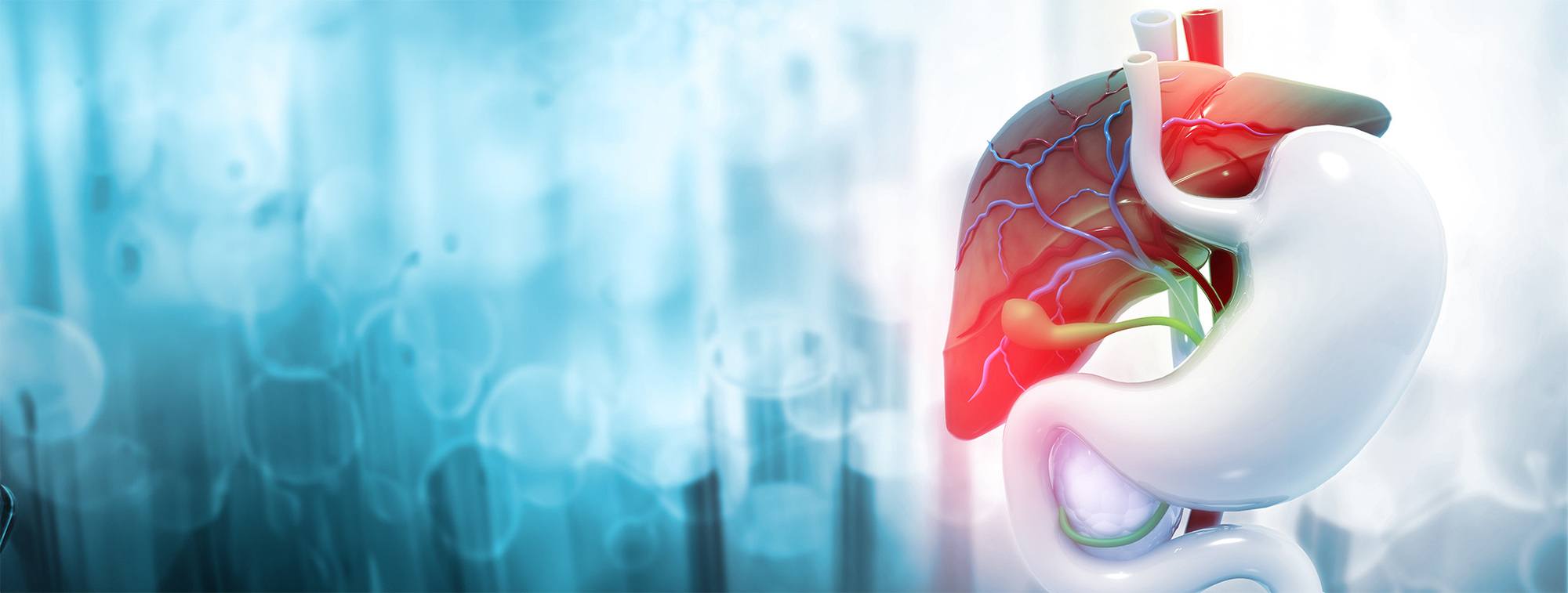 Liver Donor-Derived Cell-Free DNA | OmniGraf Liver